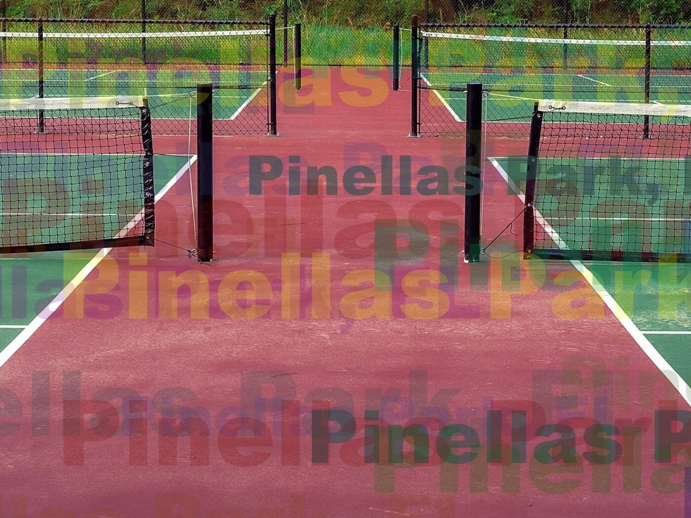 Play Pickleball in Pinellas Park - Courts & Clinics